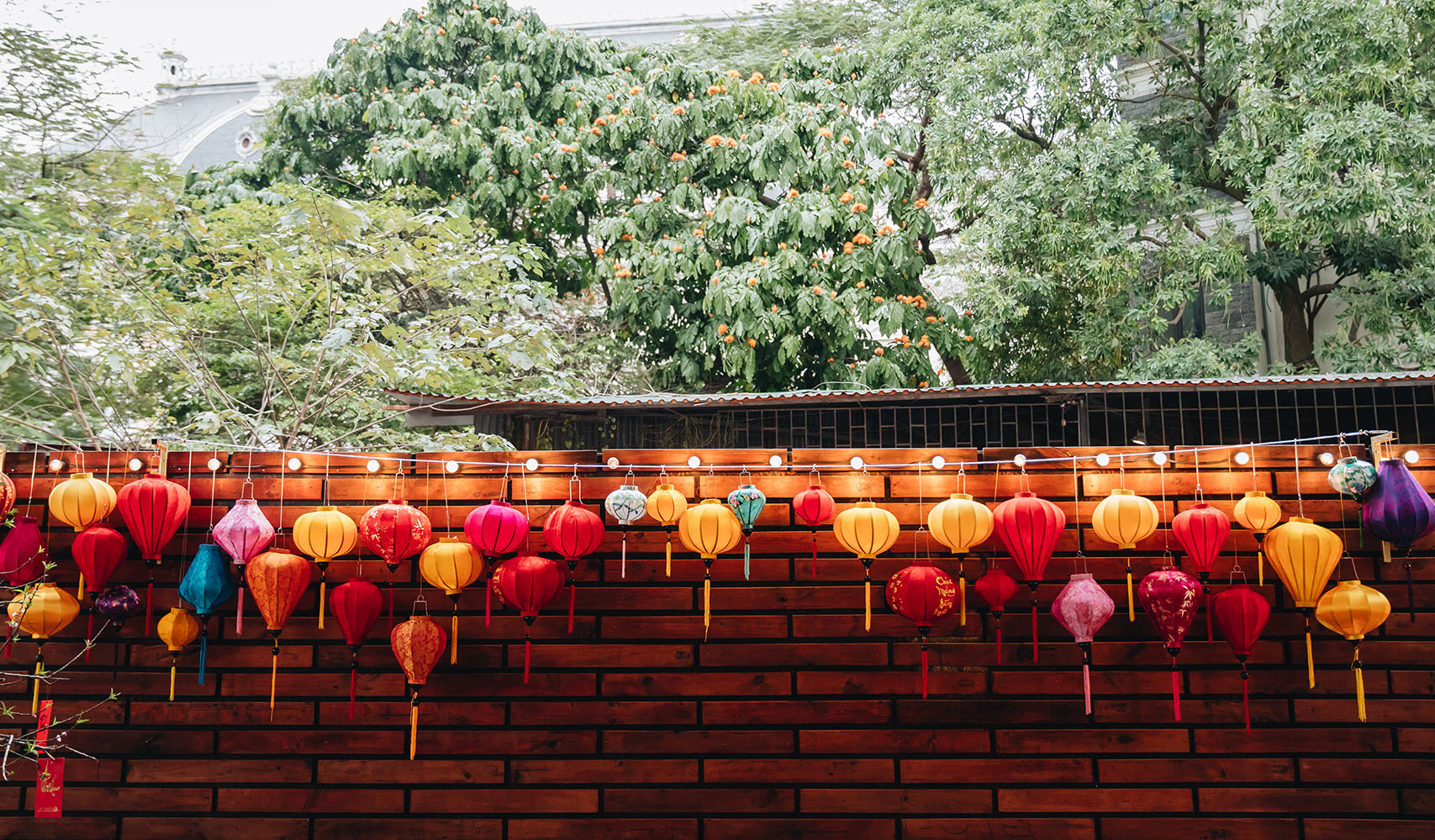 FULL OF THE COLORS OF SPRING IN TET 2022 BACKDROP