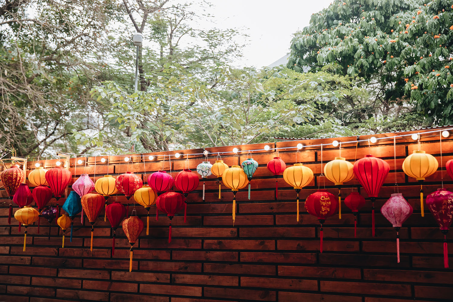 FULL OF THE COLORS OF SPRING IN TET 2022 BACKDROP