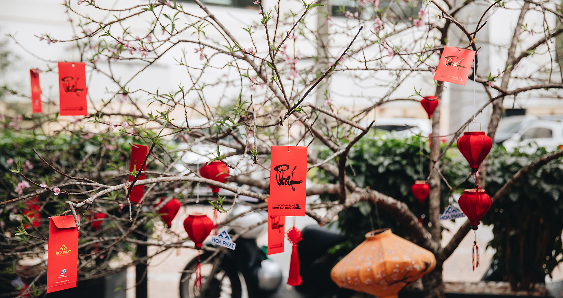 FULL OF THE COLORS OF SPRING IN TET 2022 BACKDROP